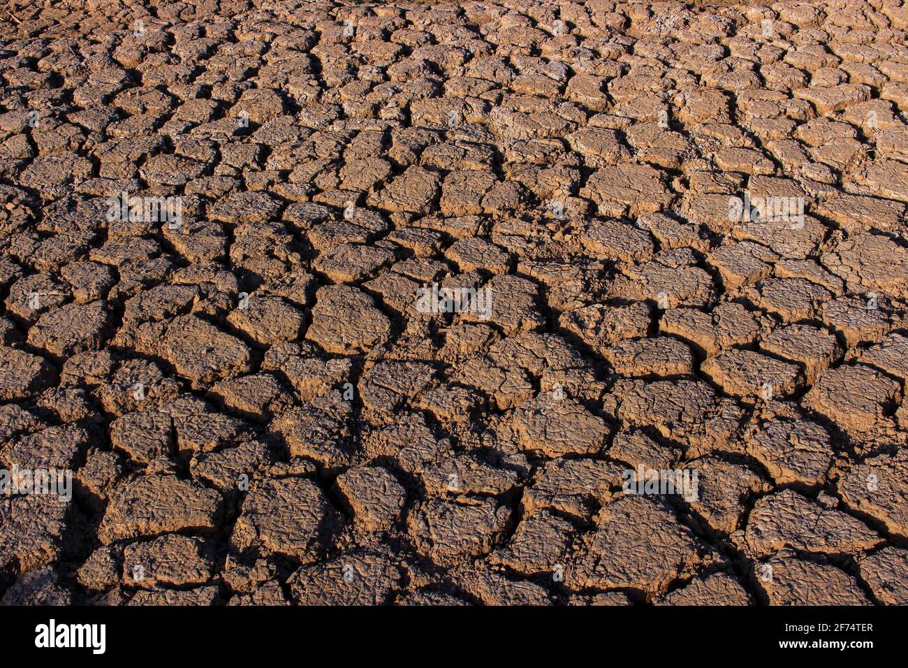 Crack ground texture background Stock Photo - Alamy