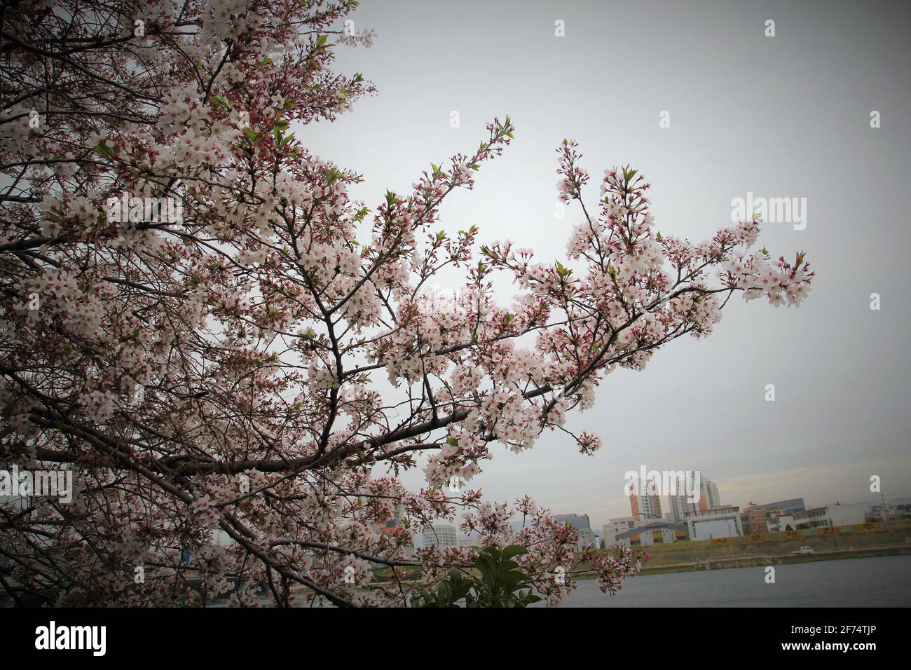 Spring nature scenery and park walk, Photos representing nature and ...