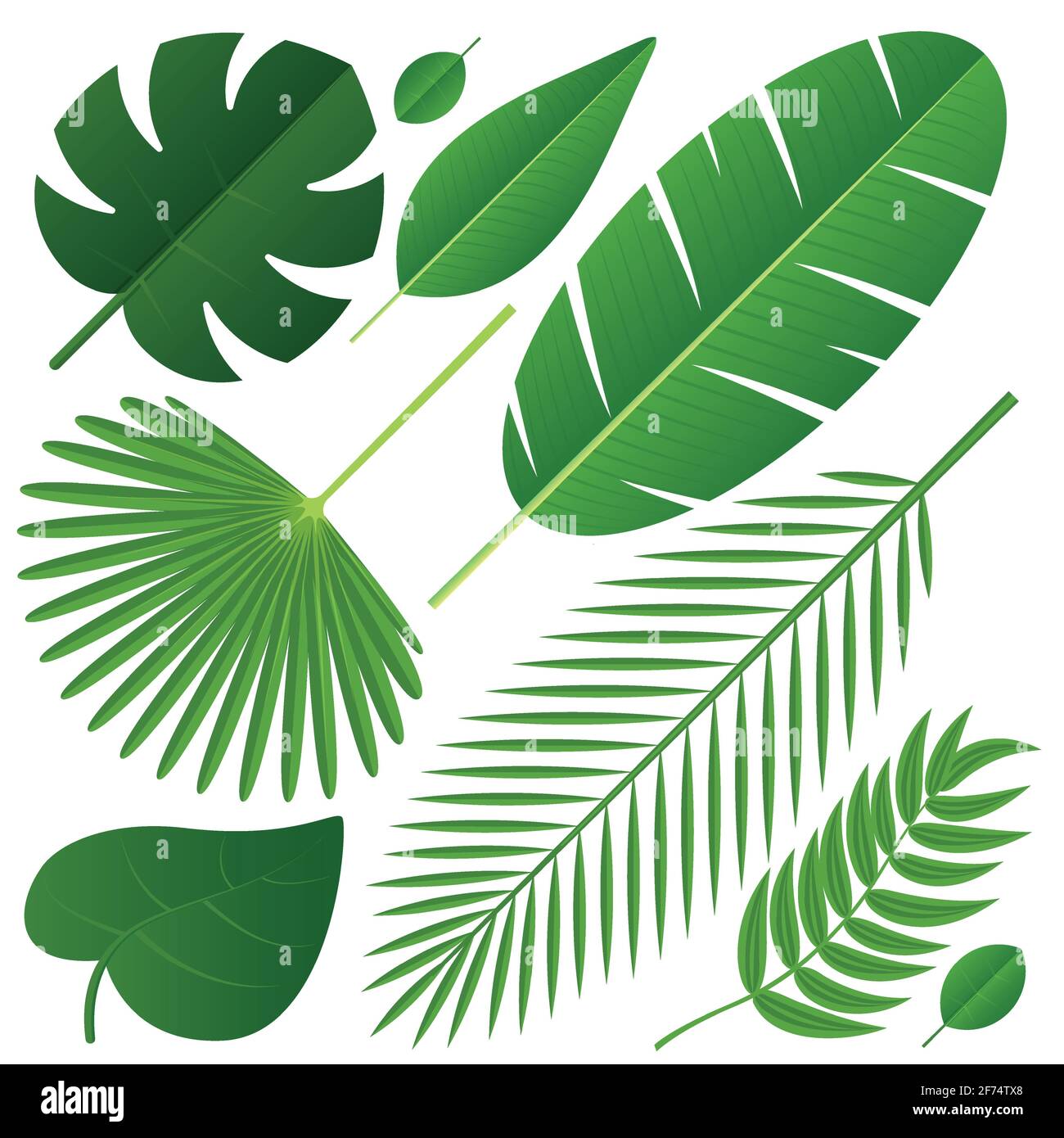 Tropical Leaves Clip Art