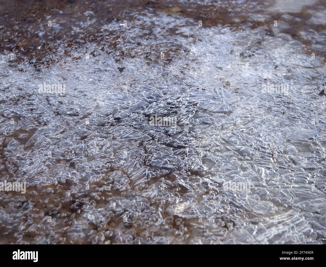 Frozen puddle in early hi-res stock photography and images - Alamy