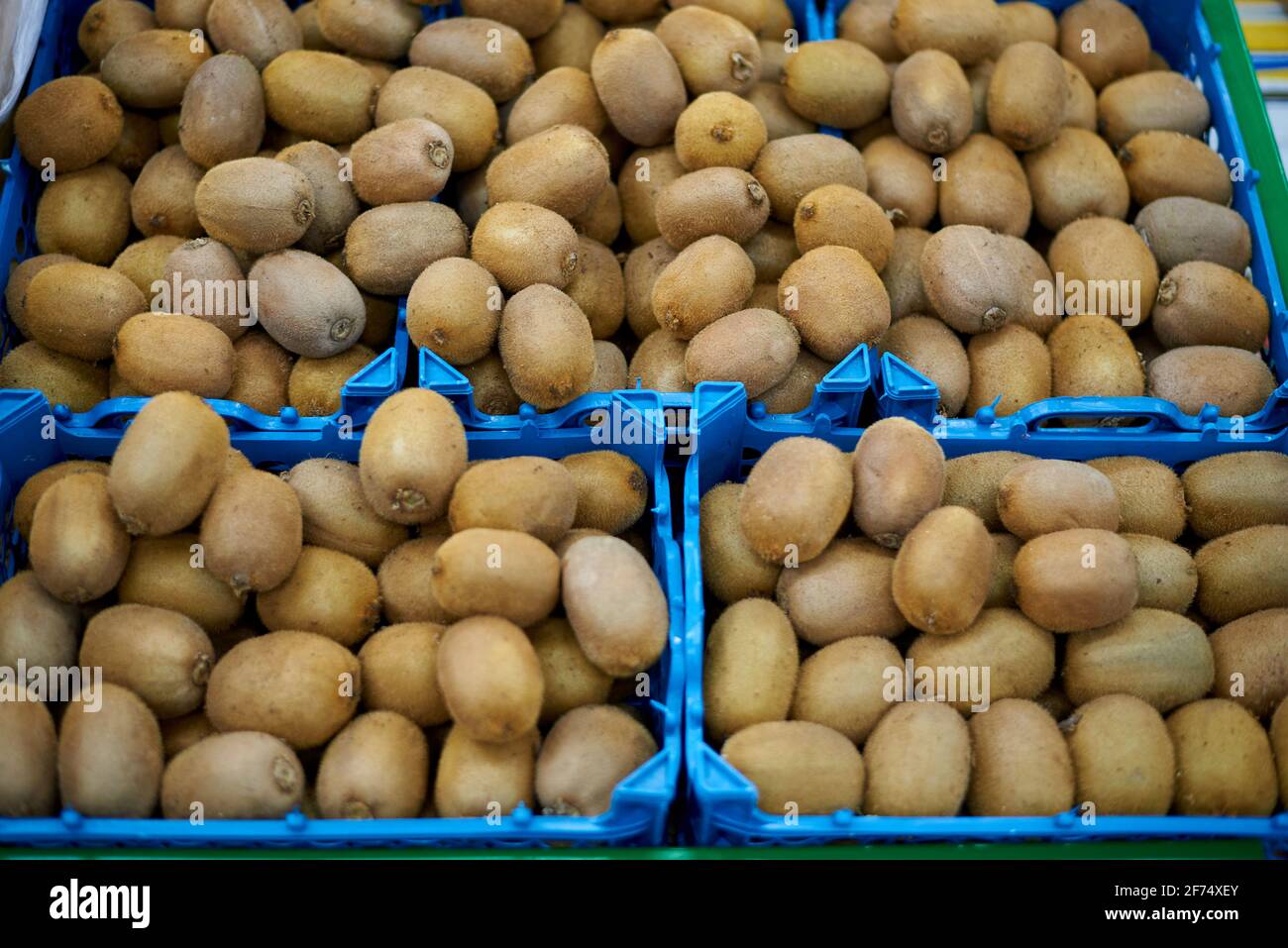 Close-up of boxes with kiwi on the shelves in the supermarket Stock ...