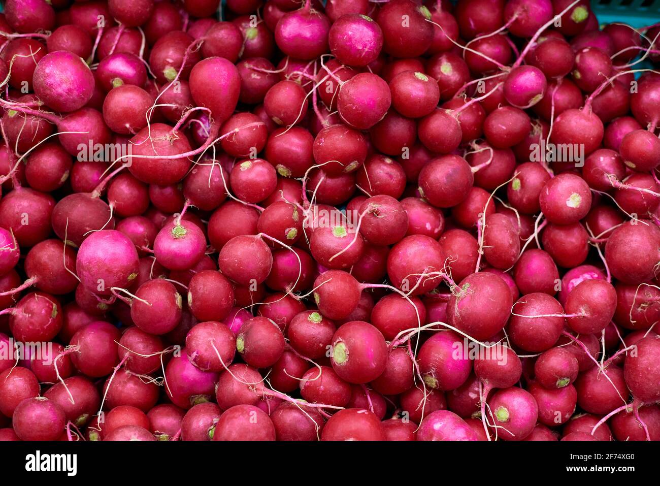 Close-up of radish in box on a shelf in a supermarket Stock Photo - Alamy