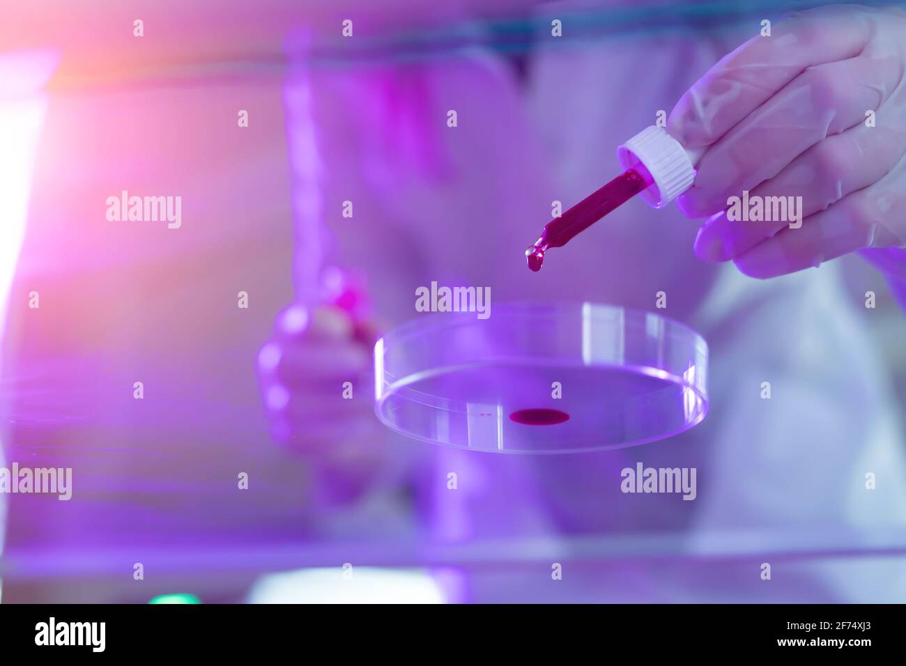 a drop of blood on a petri dish close-up Stock Photo - Alamy