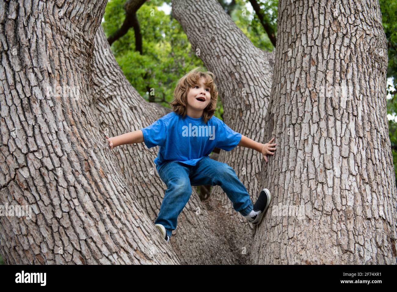 Little cute boy, climbing the tree in nature. Kids playing outdoor ...