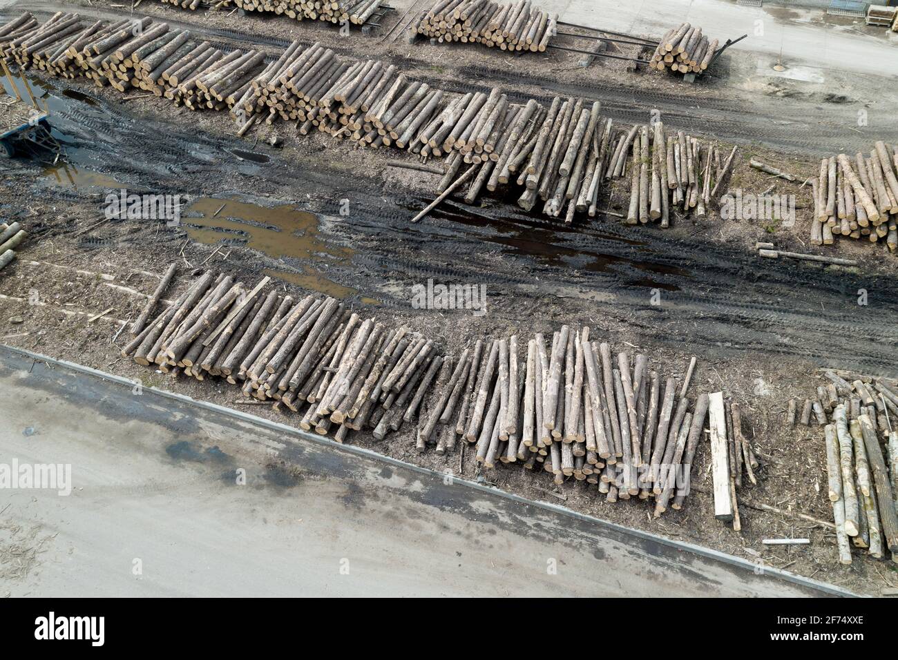 log warehouse at a woodworking enterprise top view Stock Photo - Alamy
