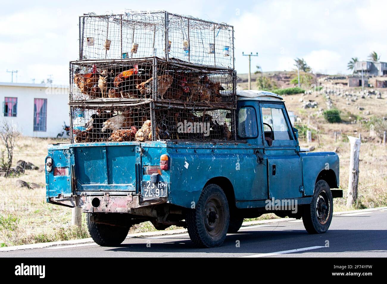 Old car transporting chickens in cages to the market in Port Mathurin ...