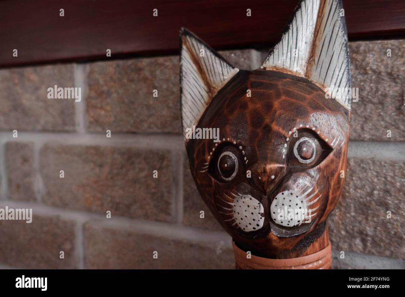 Cat wood wall hi-res stock photography and images - Alamy