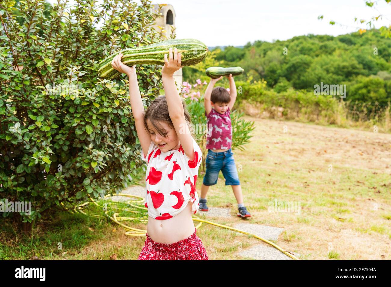Side view of kids having fun with zucchini overhead on farm in summer ...