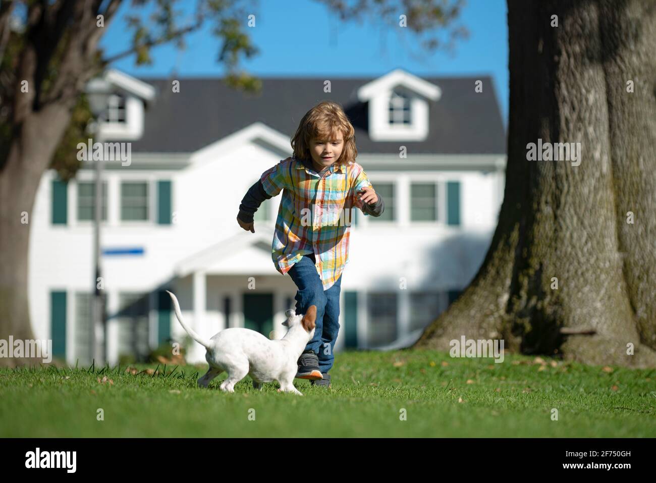 Kid boy with dog walking and running outdoor. Child with a pet runs to ...