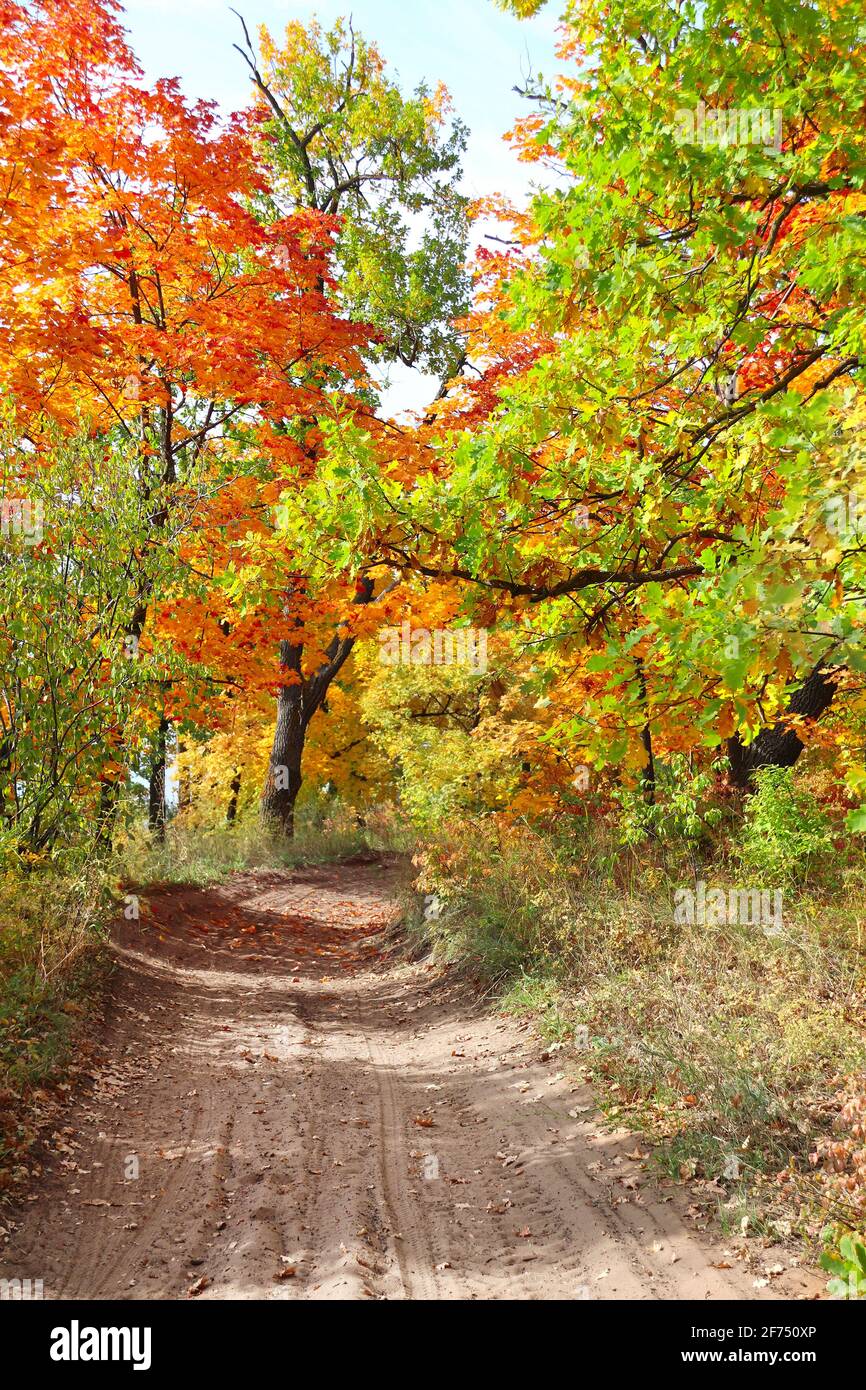 Calm fall season. Beautiful landscape with road in autumn forest ...