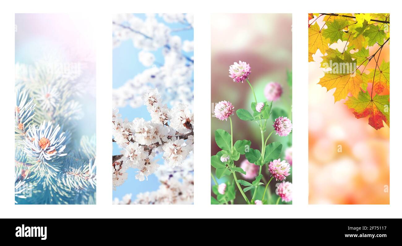 Four seasons of year. Set of vertical nature banners with winter ...