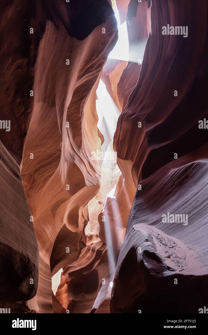 Picturesque landscape of narrow and deep slot canyon illuminated by ...