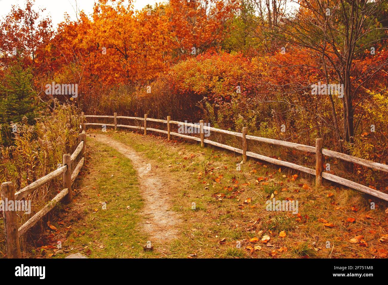 Fence Pathway High Resolution Stock Photography and Images - Alamy