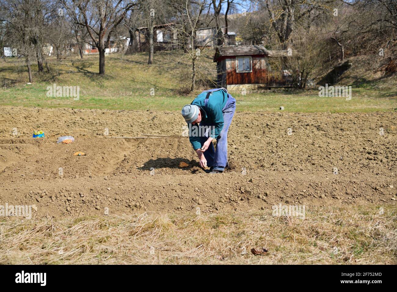 Traditional method of sowing hi-res stock photography and images - Alamy