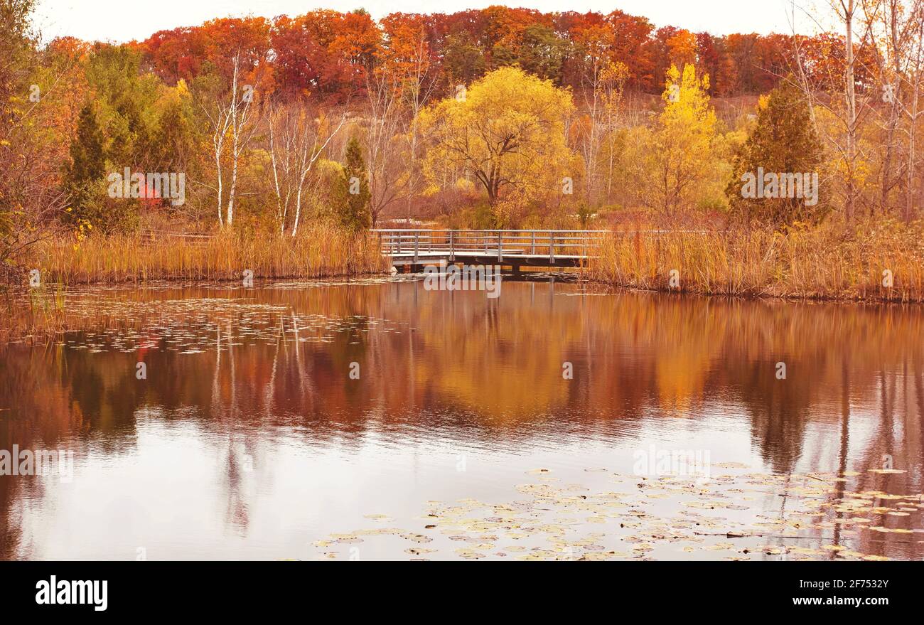 Fall foliage autumn colour hi-res stock photography and images - Alamy