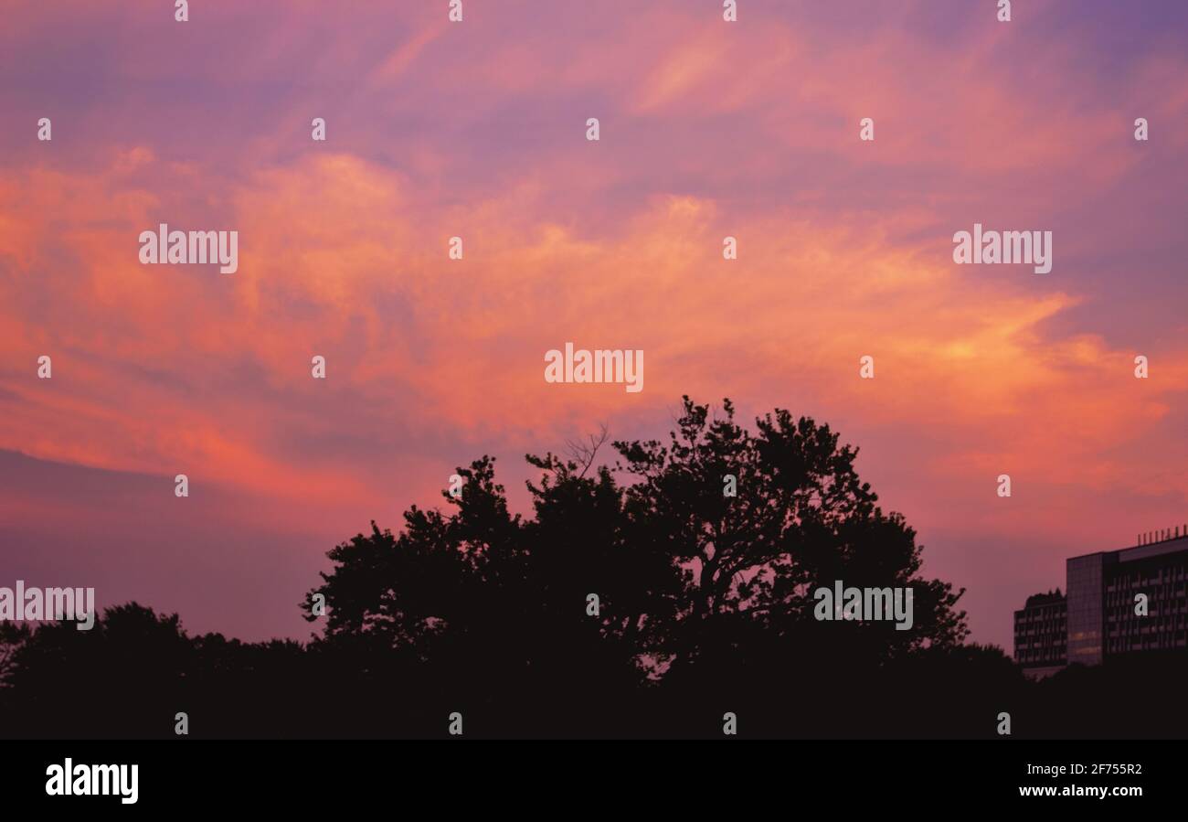 Shadow in the sunset hi-res stock photography and images - Alamy