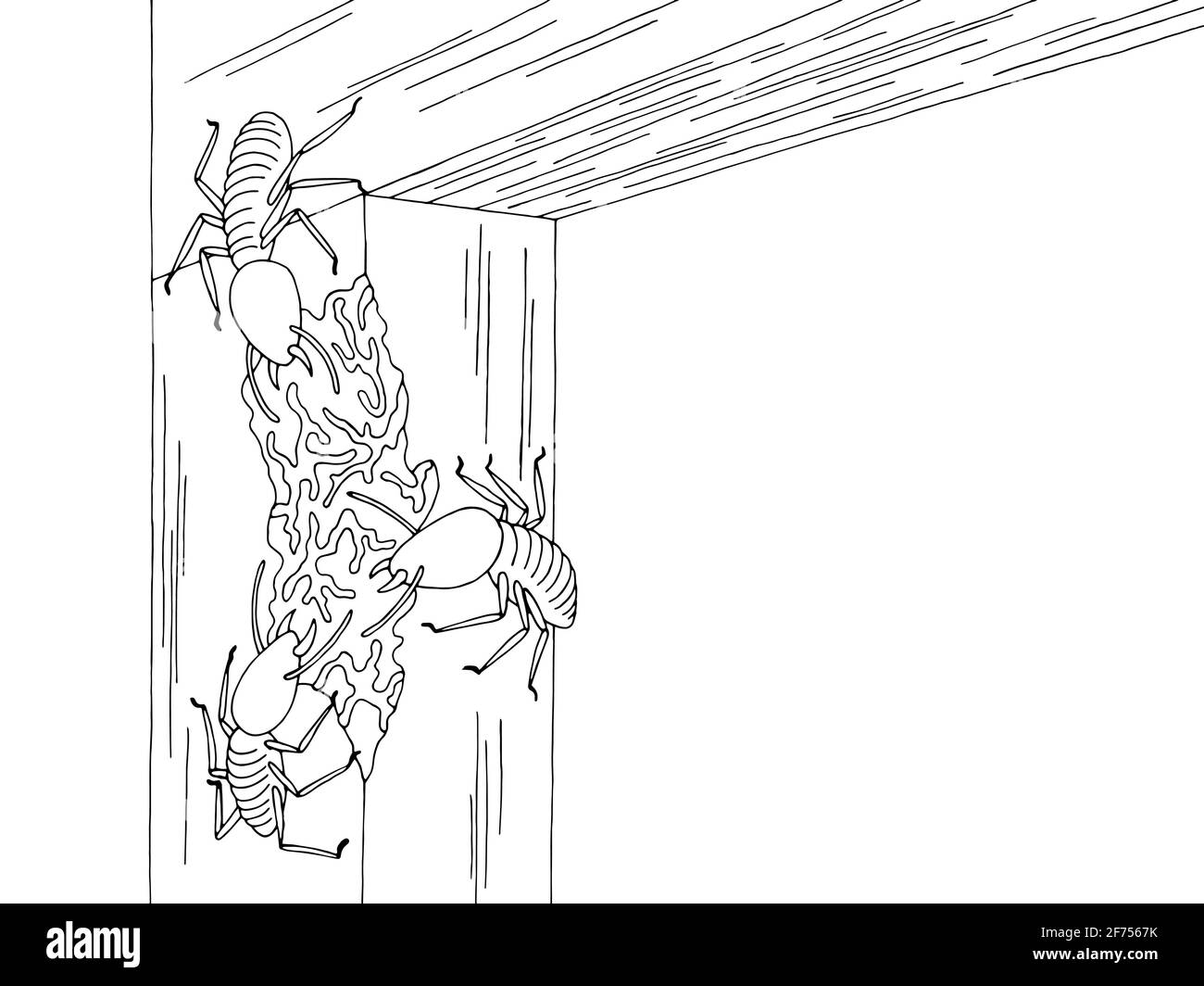 Termites gnawing a wooden beam graphic black white sketch illustration ...
