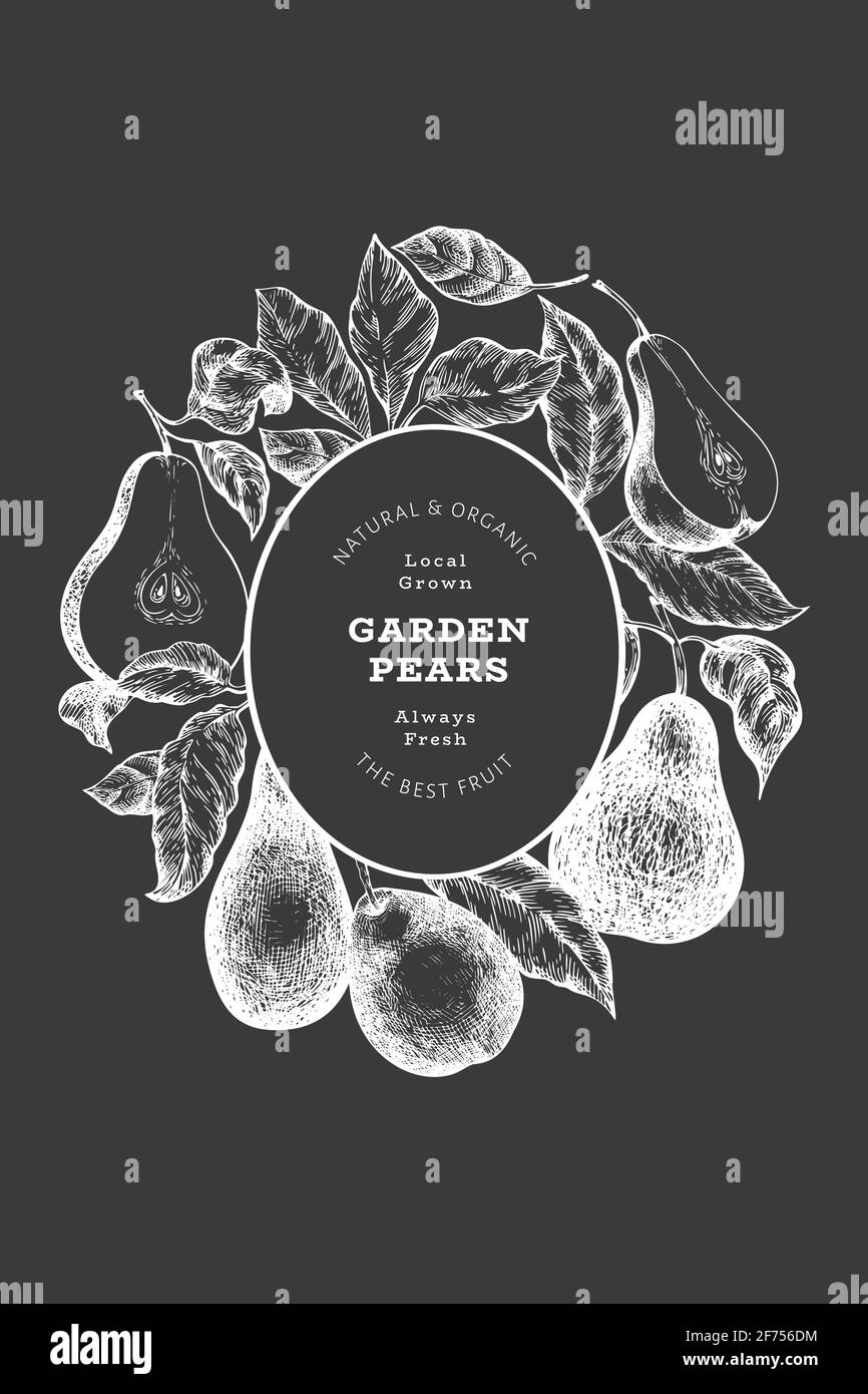 Pear design template. Hand drawn vector garden fruit illustration on ...