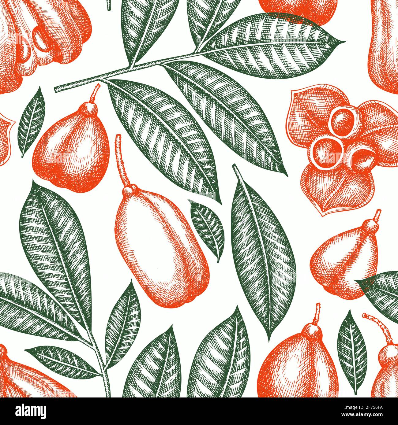 Hand drawn sketch style ackee seamless pattern. Organic fresh food ...