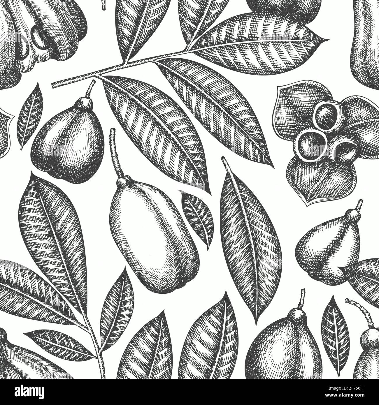 Hand drawn sketch style ackee seamless pattern. Organic fresh food ...
