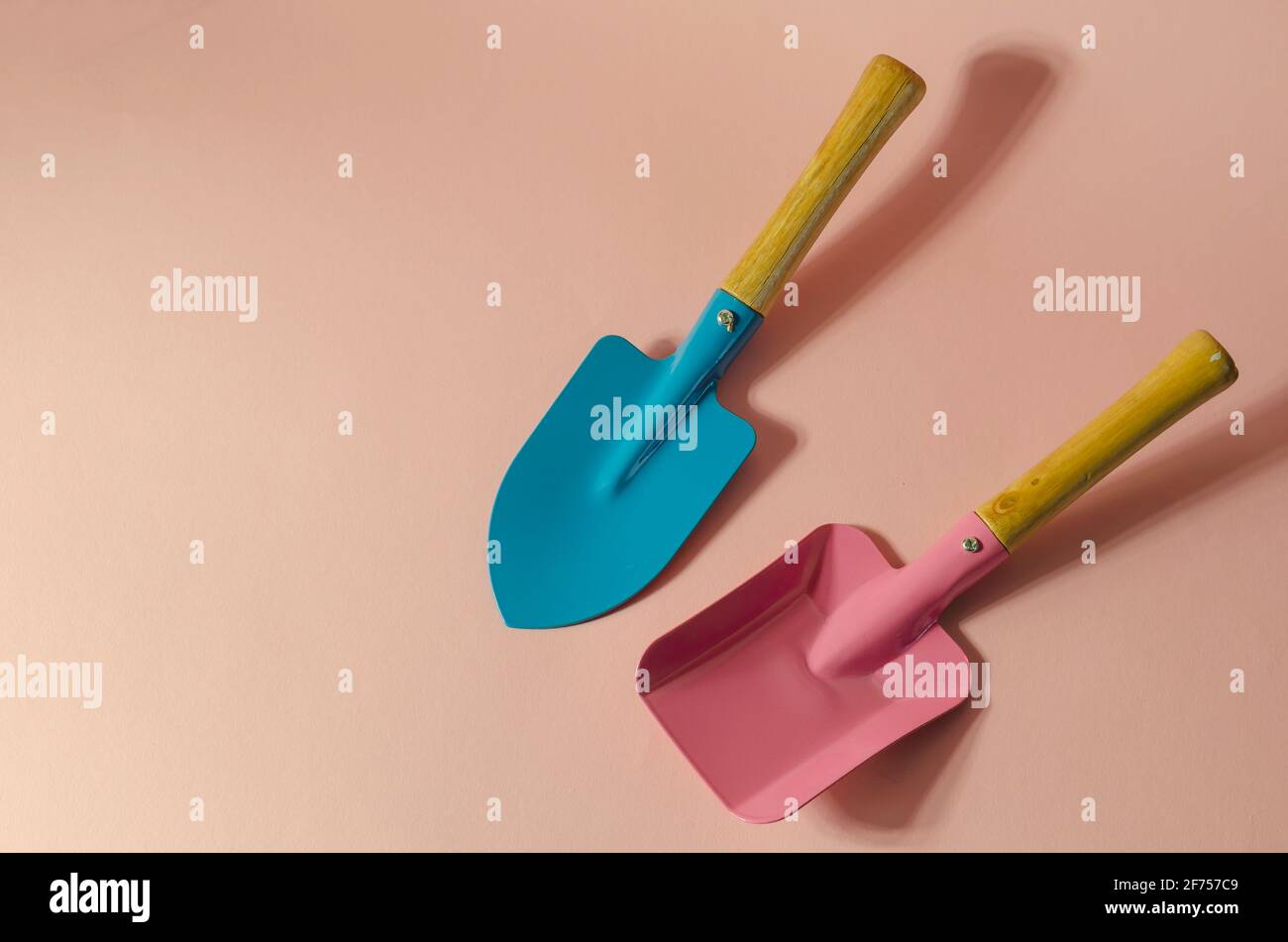 Minimalistic composition with blue and pink garden shovels on a pink ...