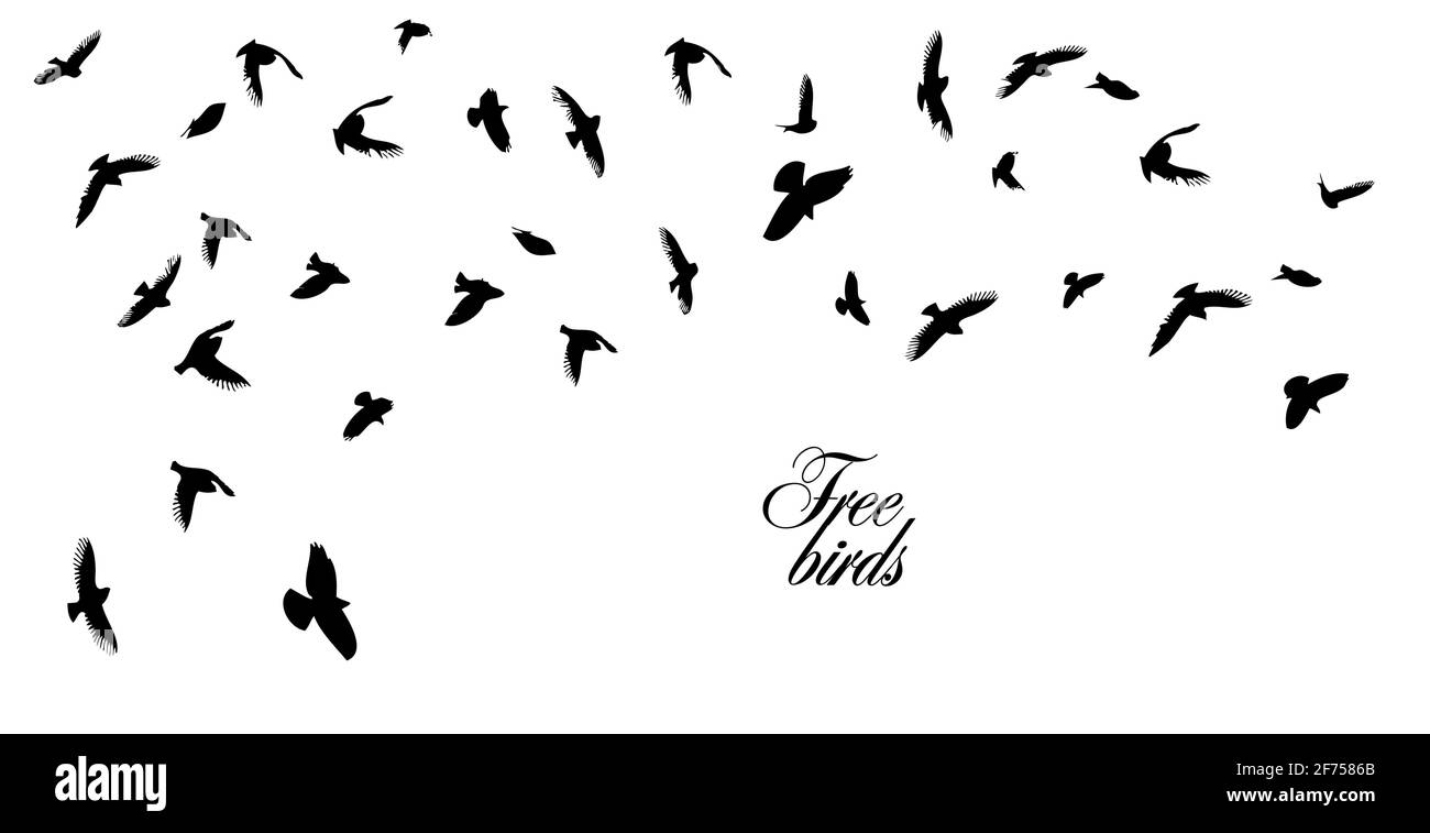 A flock of flying birds. Vector illustration Stock Vector Image & Art ...