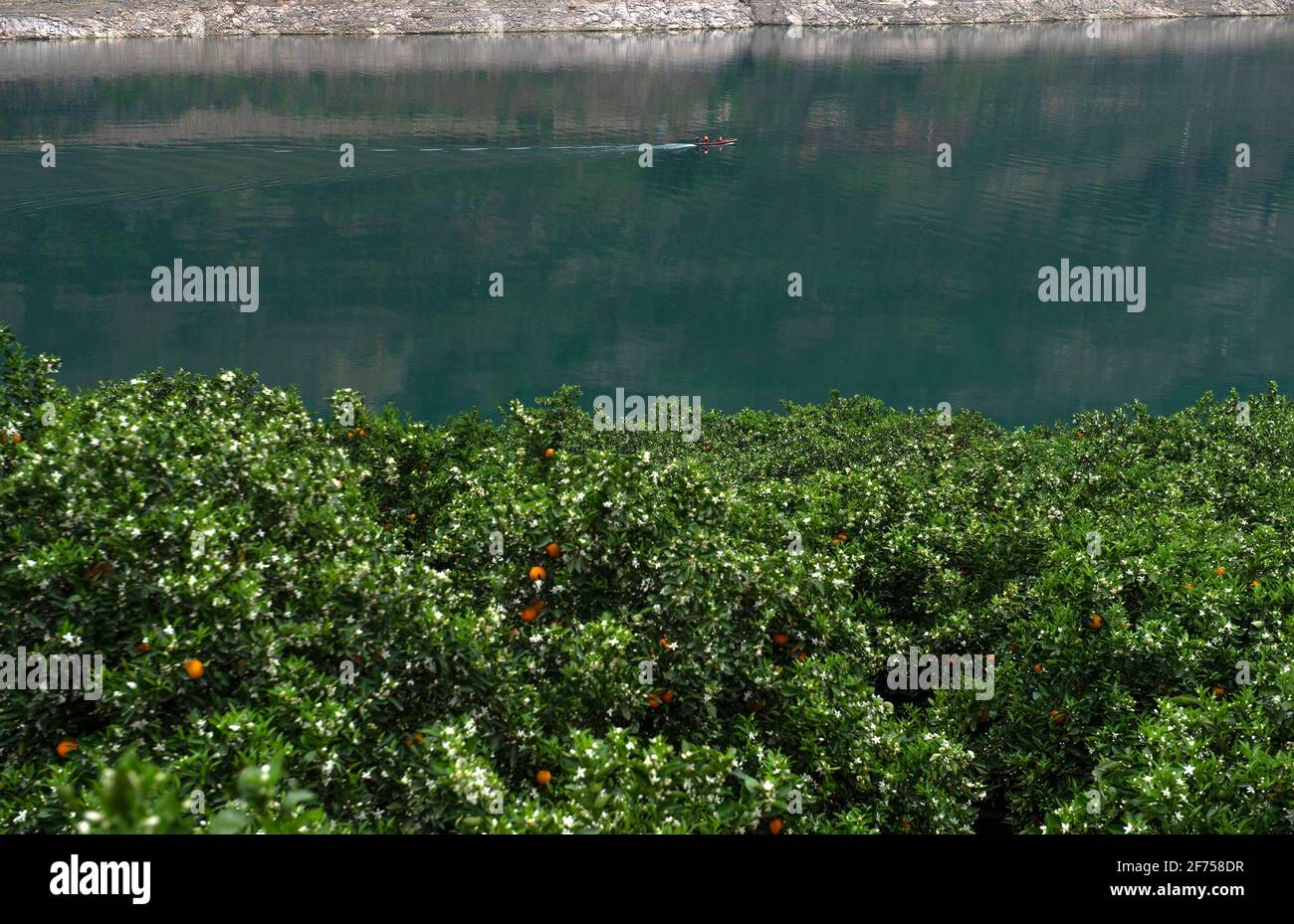 ZIGUI, CHINA - APRIL 5, 2021 - A boat navigates the waters of the ...