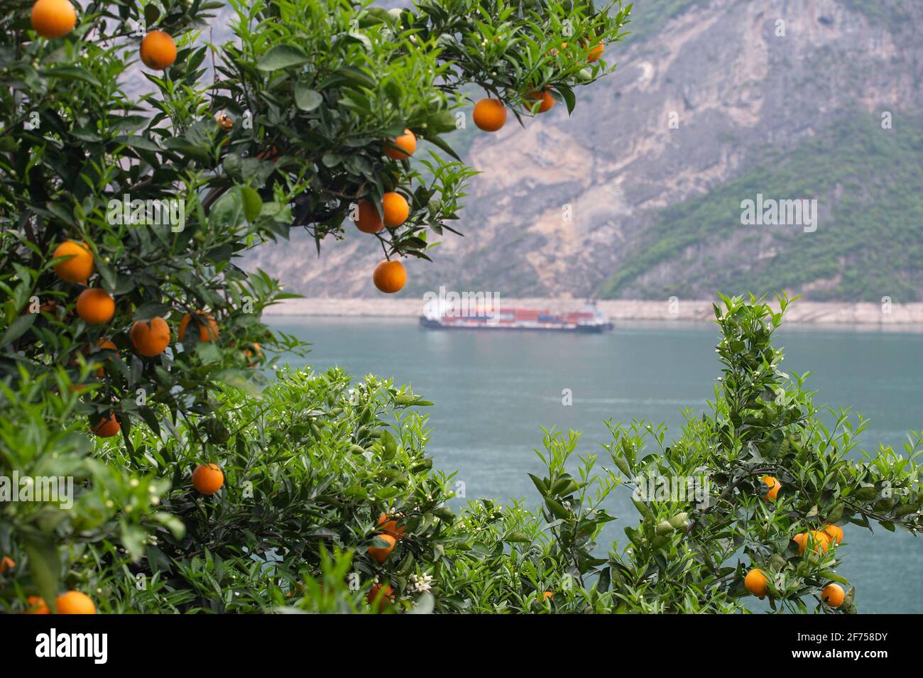 ZIGUI, CHINA - APRIL 5, 2021 - A ship navigates the waters of the ...