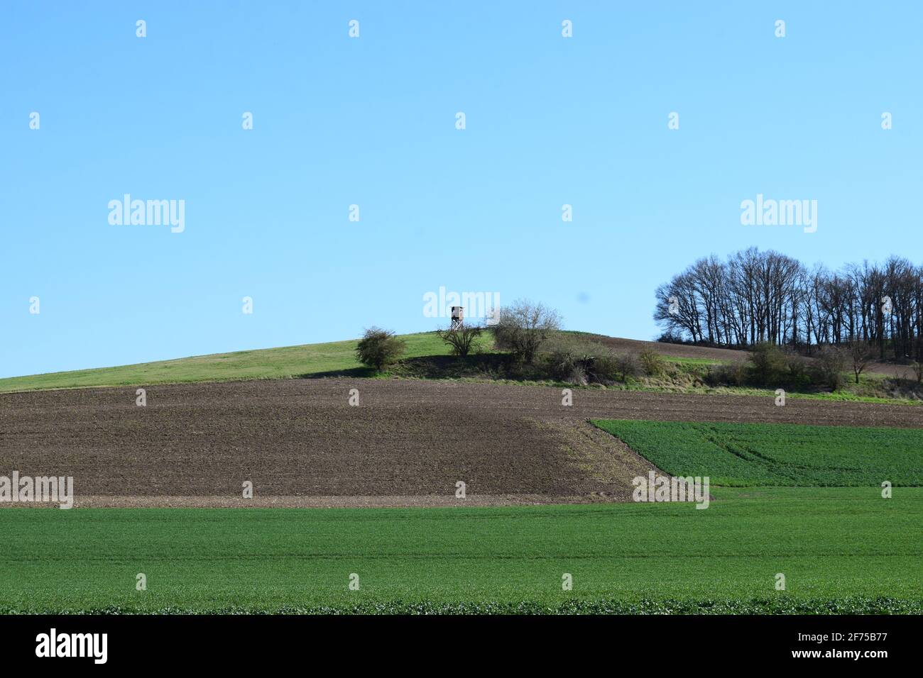 green farmland in spring Stock Photo - Alamy
