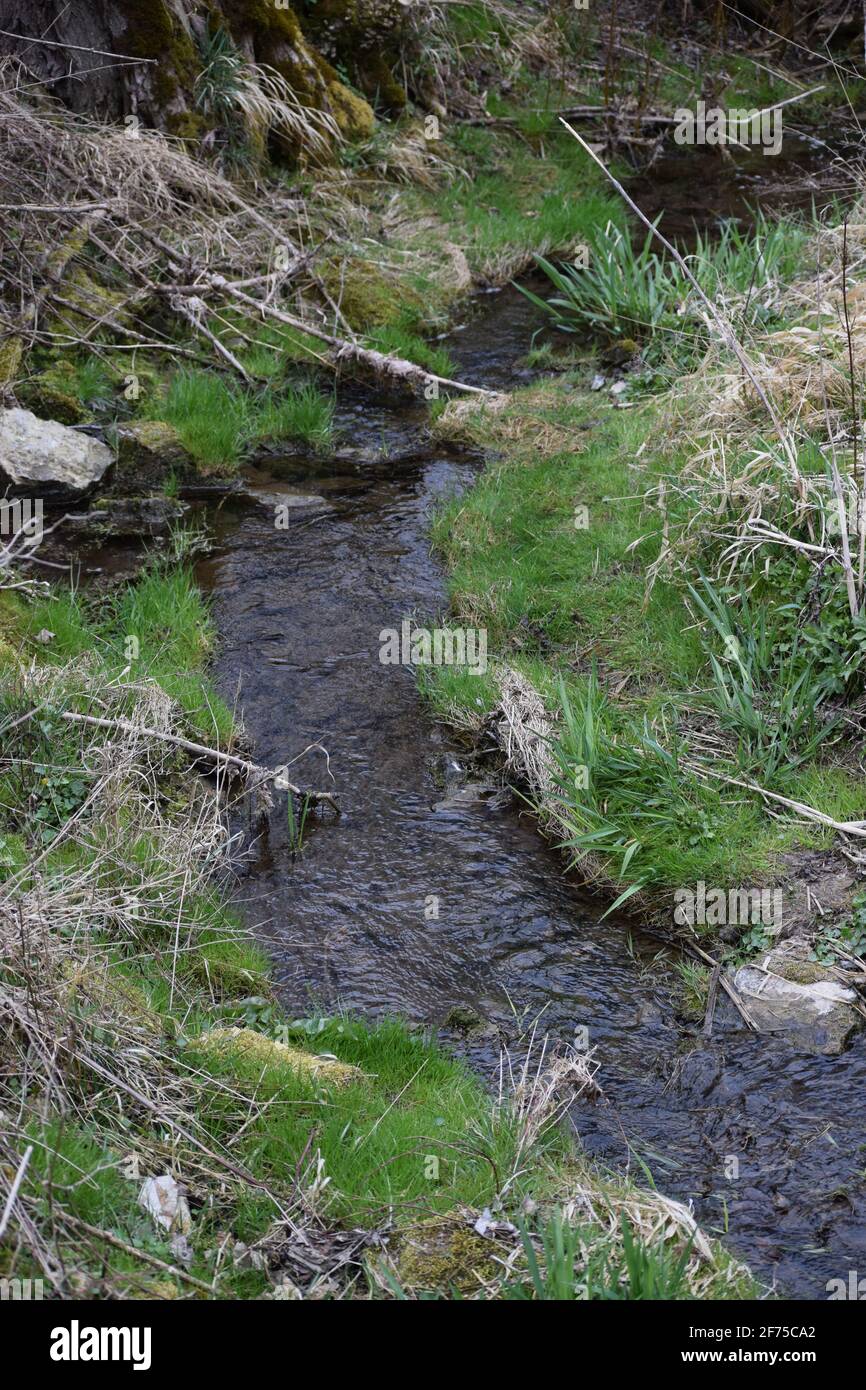 slowly flowing Brook - thus Settlement of Greenery Stock Photo - Alamy