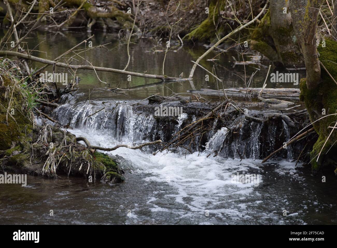 a Step in a natural Stream Stock Photo - Alamy
