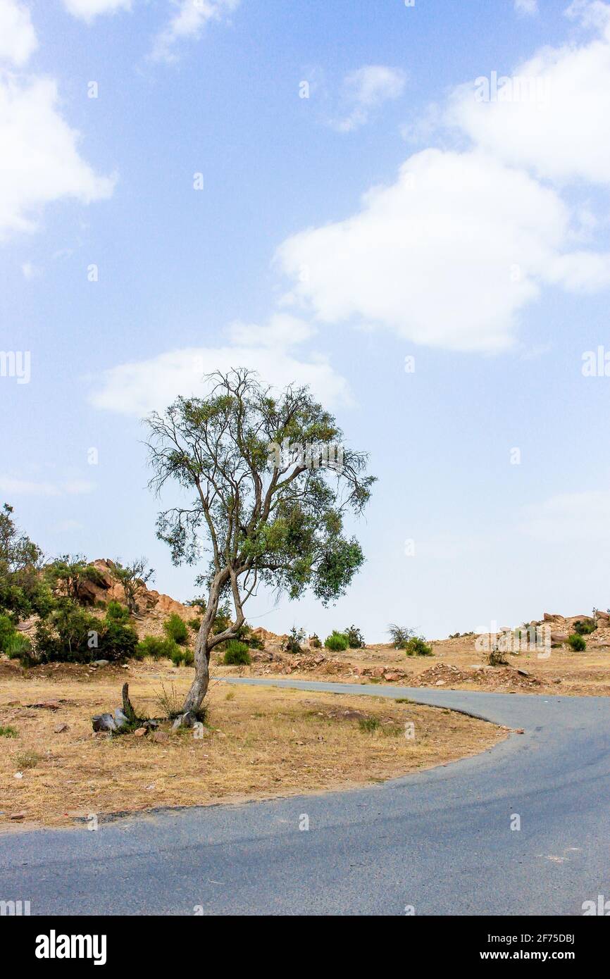 saudi arabian desert road Stock Photo - Alamy