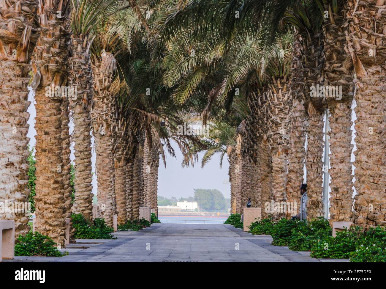 jeddah saudi arabia Stock Photo - Alamy