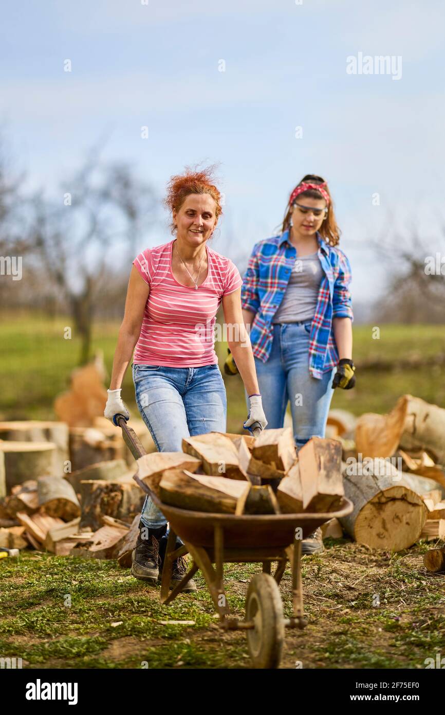 two women working together to put firewood for the winter Stock Photo ...