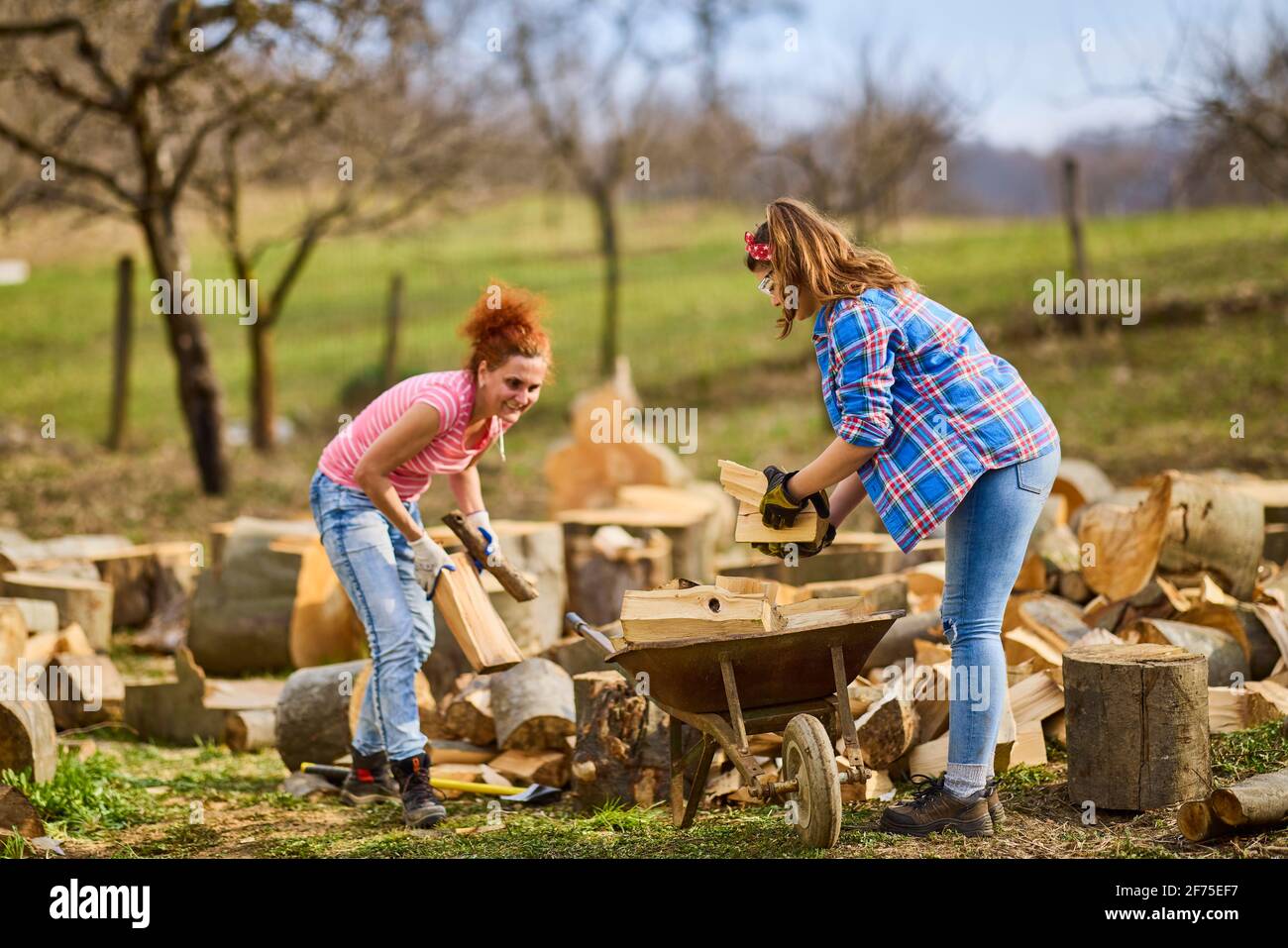 Teenager and collecting firewood hi-res stock photography and images ...