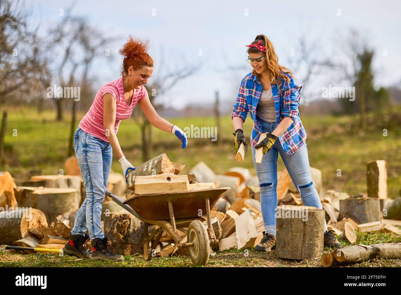 Teenager and collecting firewood hi-res stock photography and images ...