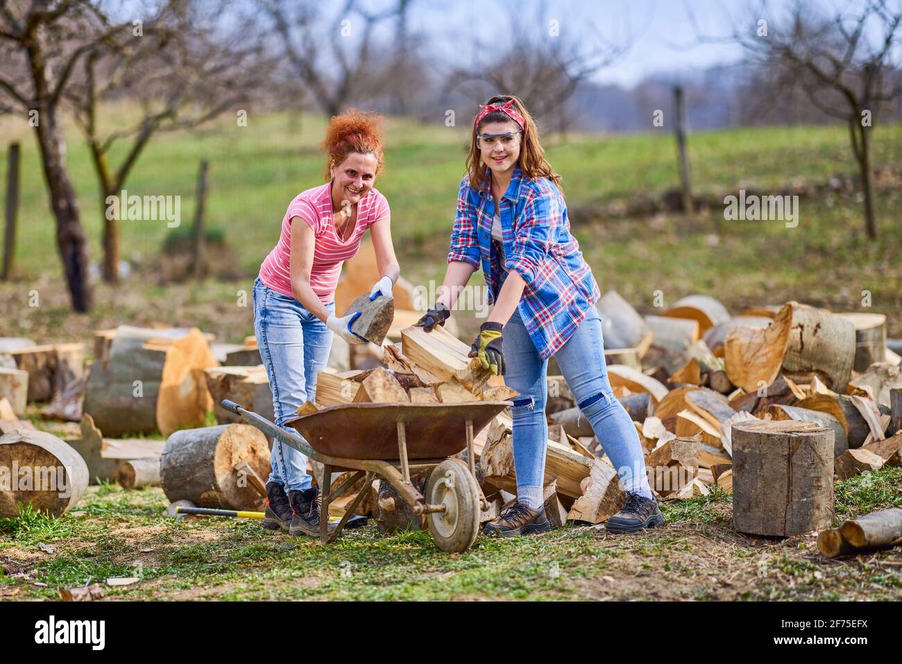 Happy family collecting firewood hi-res stock photography and images ...