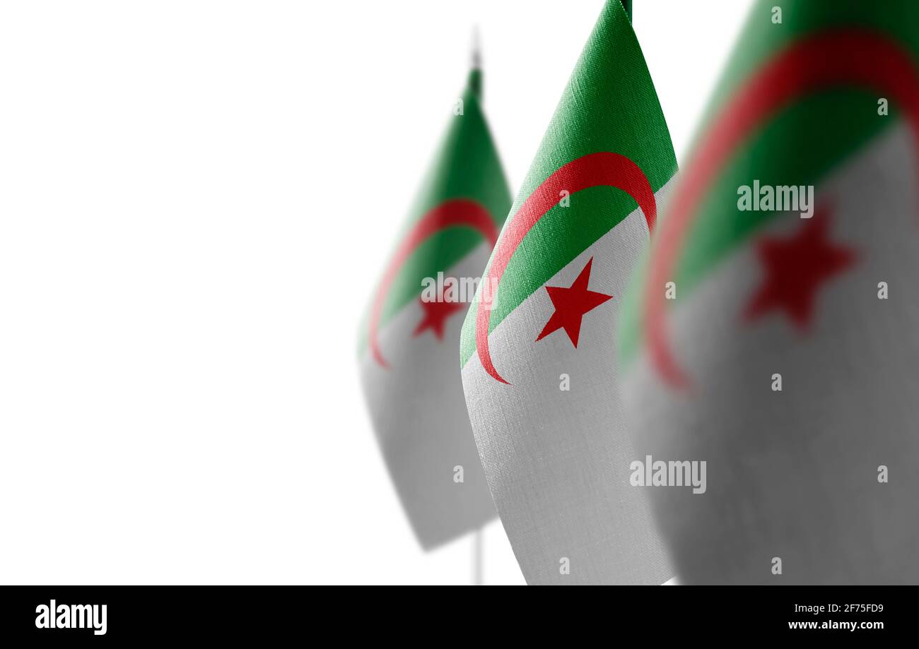 Small national flags of the Algeria on a white background Stock Photo ...