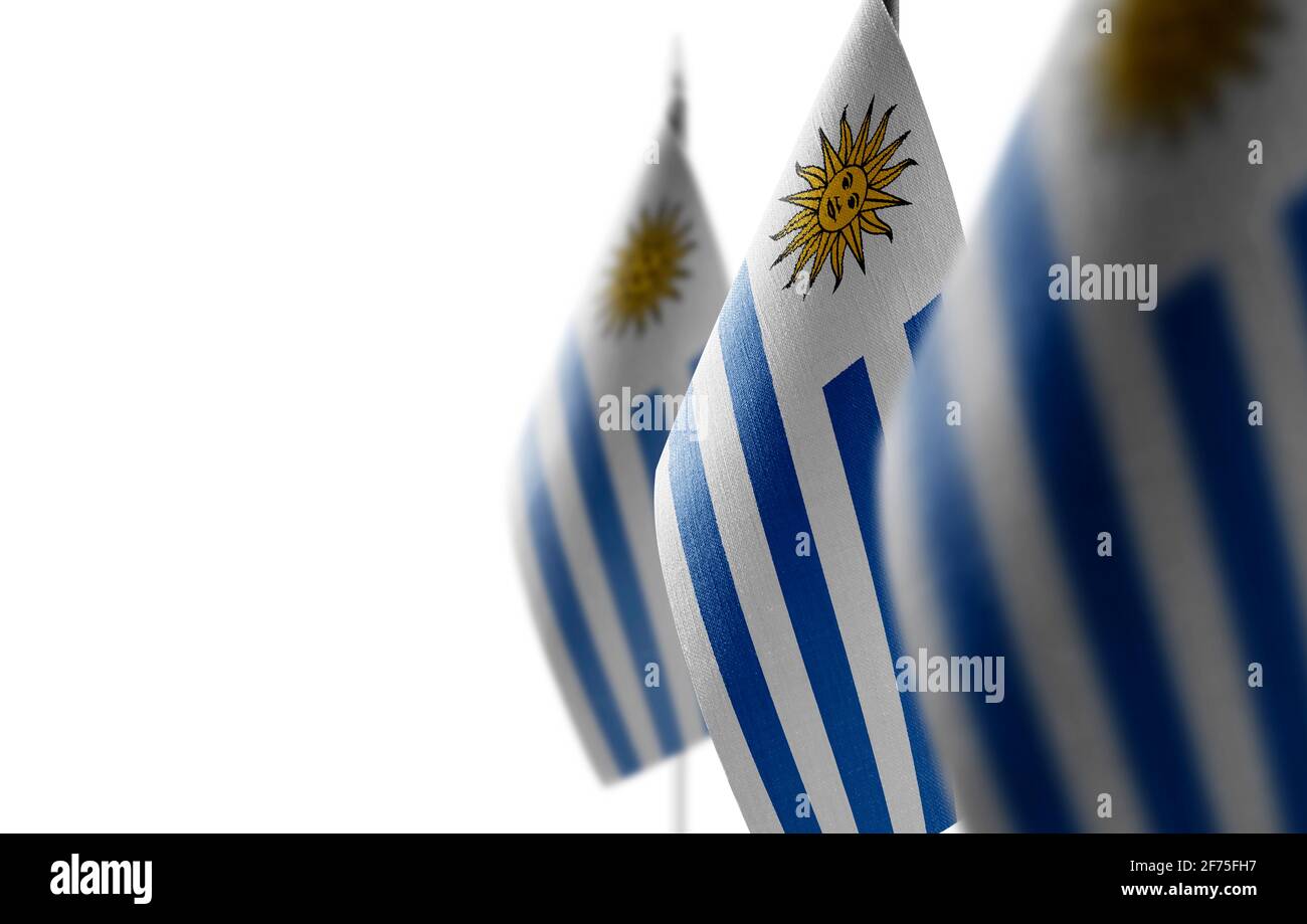 Small national flags of the Uruguay on a white background Stock Photo ...