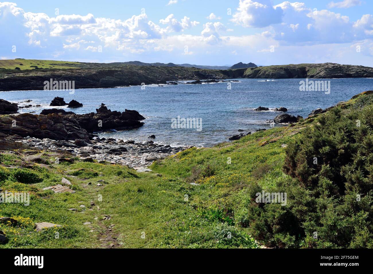 Coscia di donna hi-res stock photography and images - Alamy