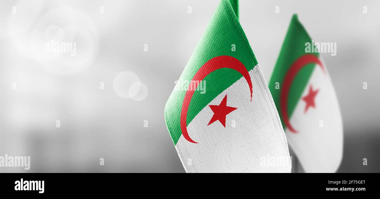 Small national flags of the Algeria on a light blurry background Stock ...