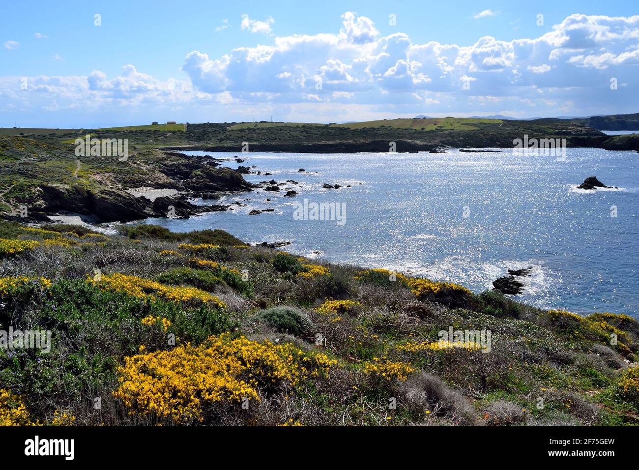 Coscia di donna hi-res stock photography and images - Alamy