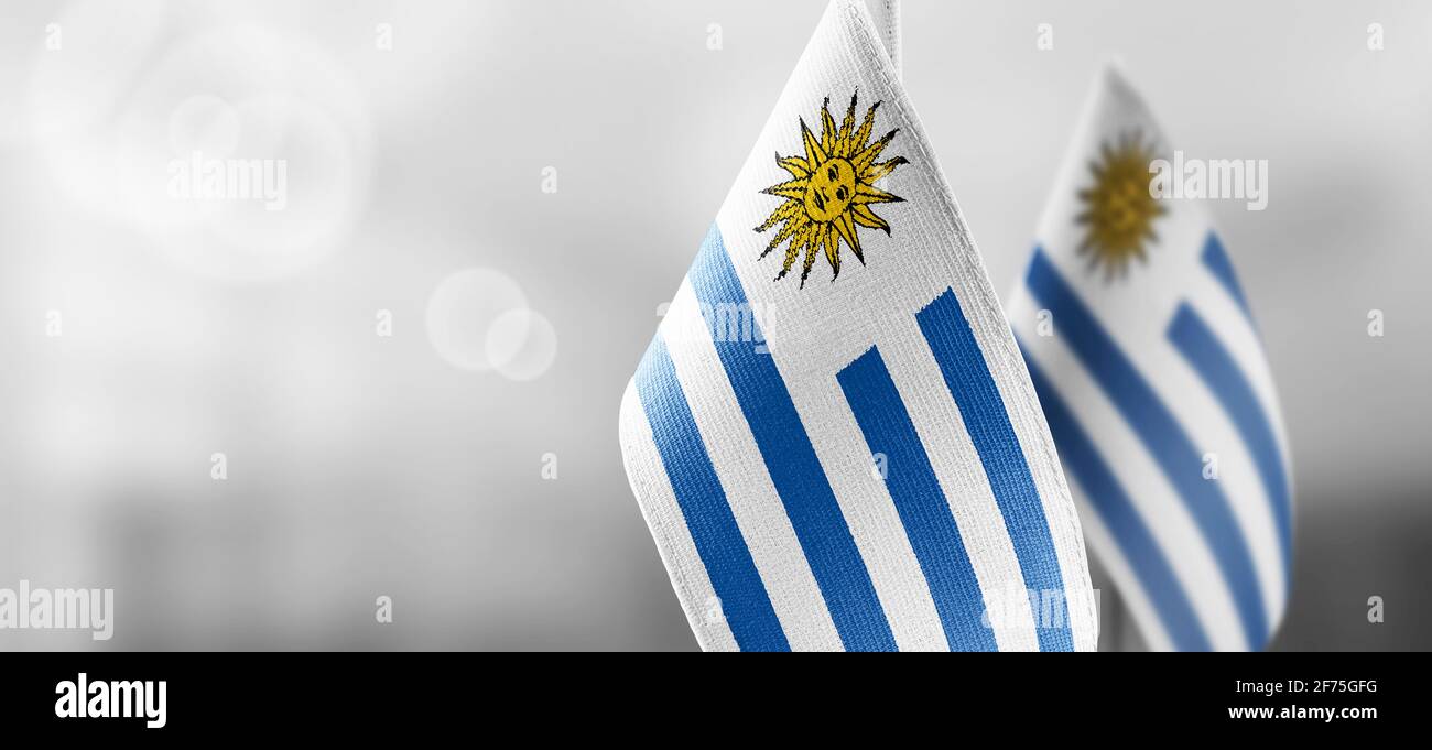 Small national flags of the Uruguay on a light blurry background Stock ...