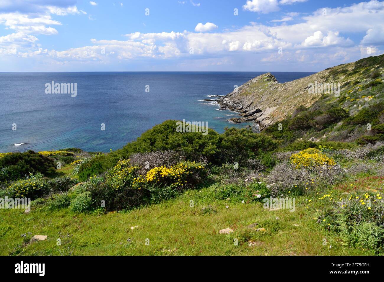 Coscia di donna hi-res stock photography and images - Alamy