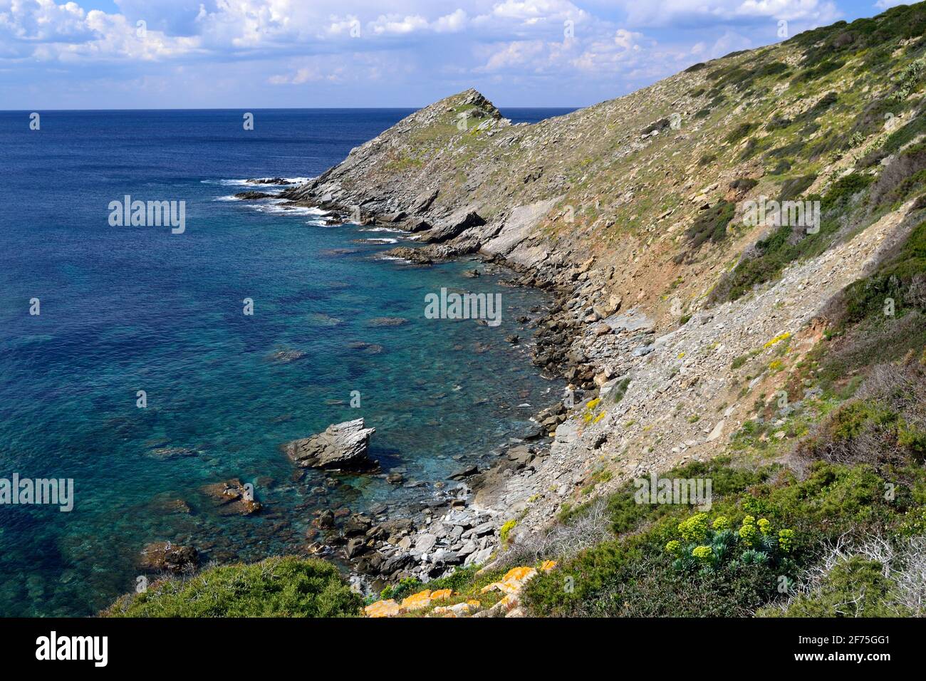 Coscia di donna hi-res stock photography and images - Alamy