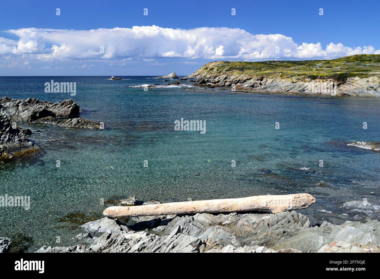 Coscia di donna hi-res stock photography and images - Alamy