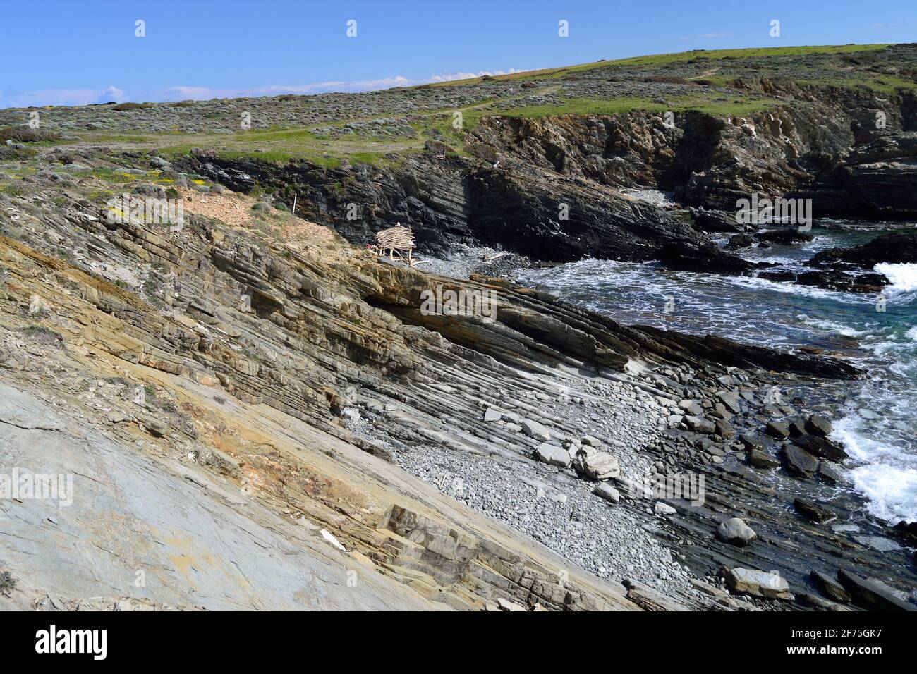 Coscia hi-res stock photography and images - Alamy