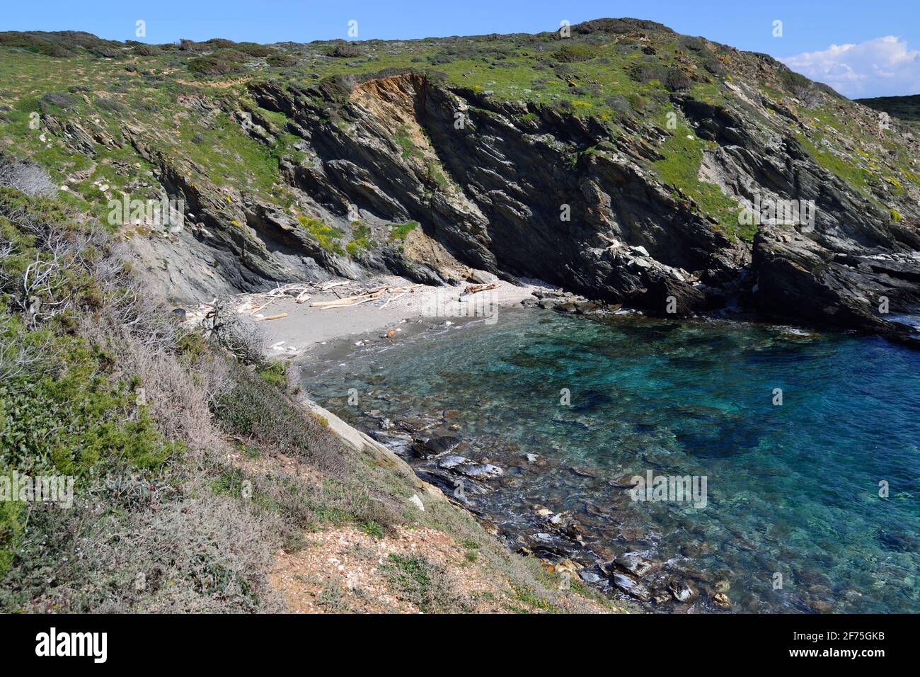 Rattu High Resolution Stock Photography and Images - Alamy