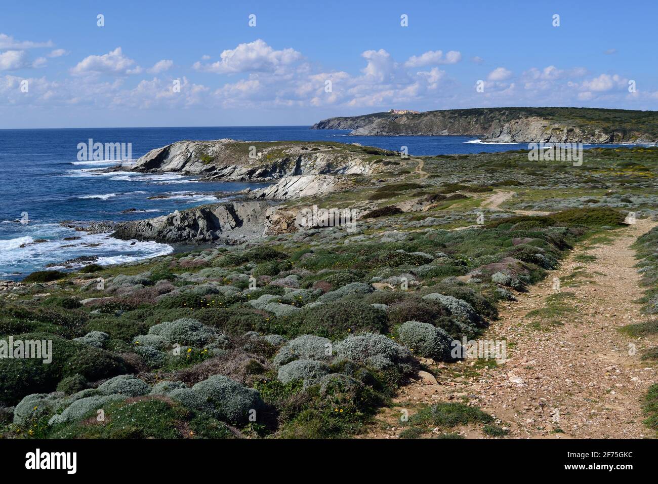 Coscia di donna hi-res stock photography and images - Alamy