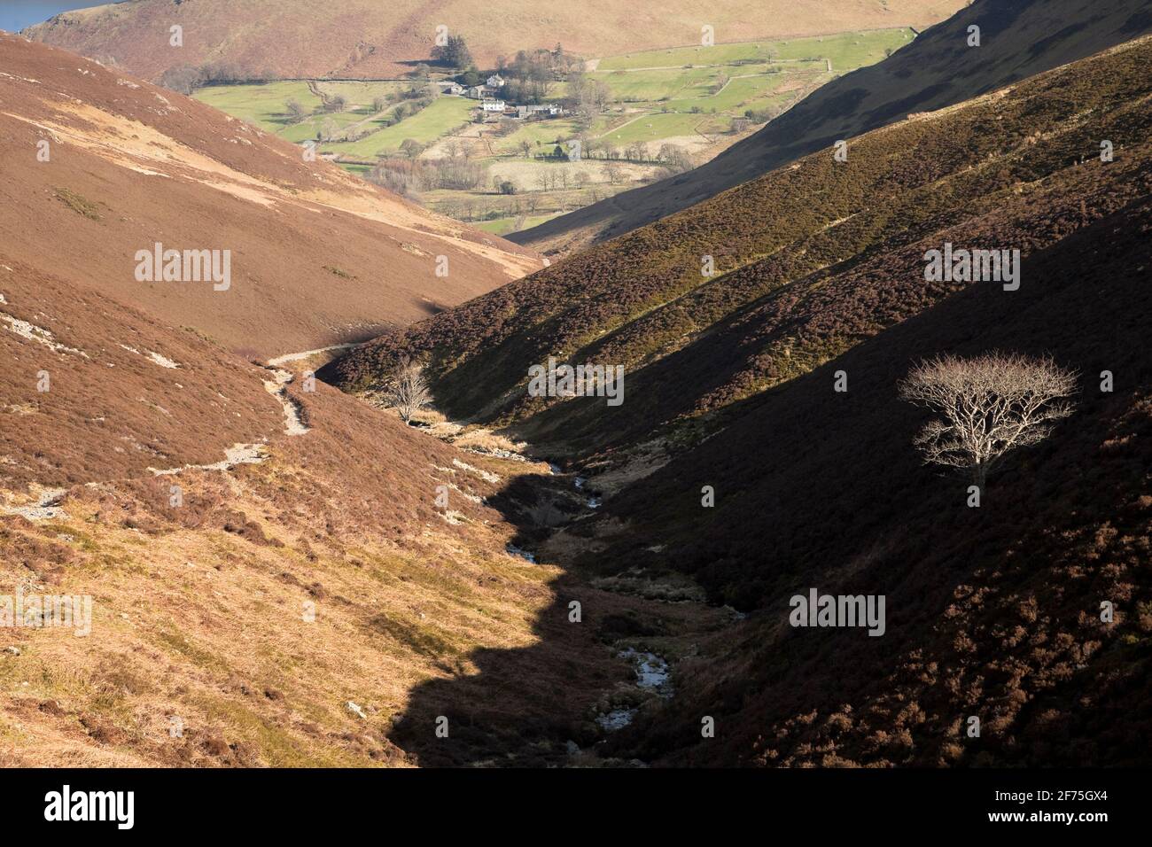 Rigg beck hi-res stock photography and images - Alamy